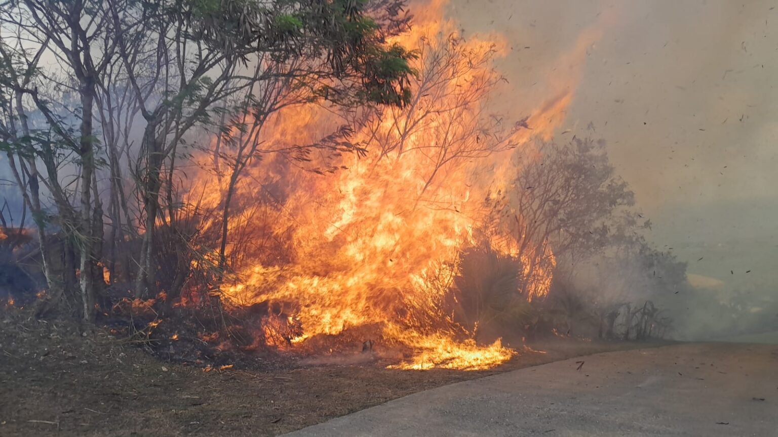 Grassfire breaks out at Mount Susu - Marianas Variety News & Views