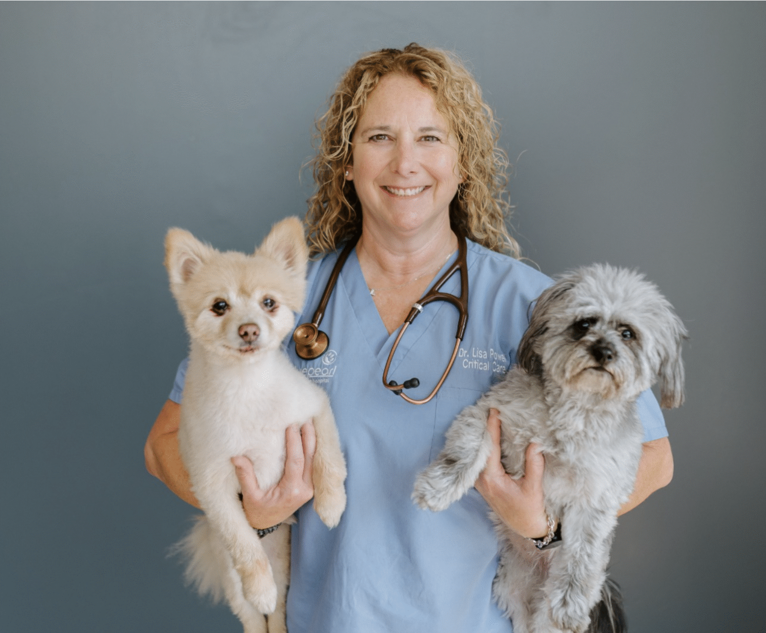 Saipan Humane Society announces upcoming veterinary visit - Marianas ...