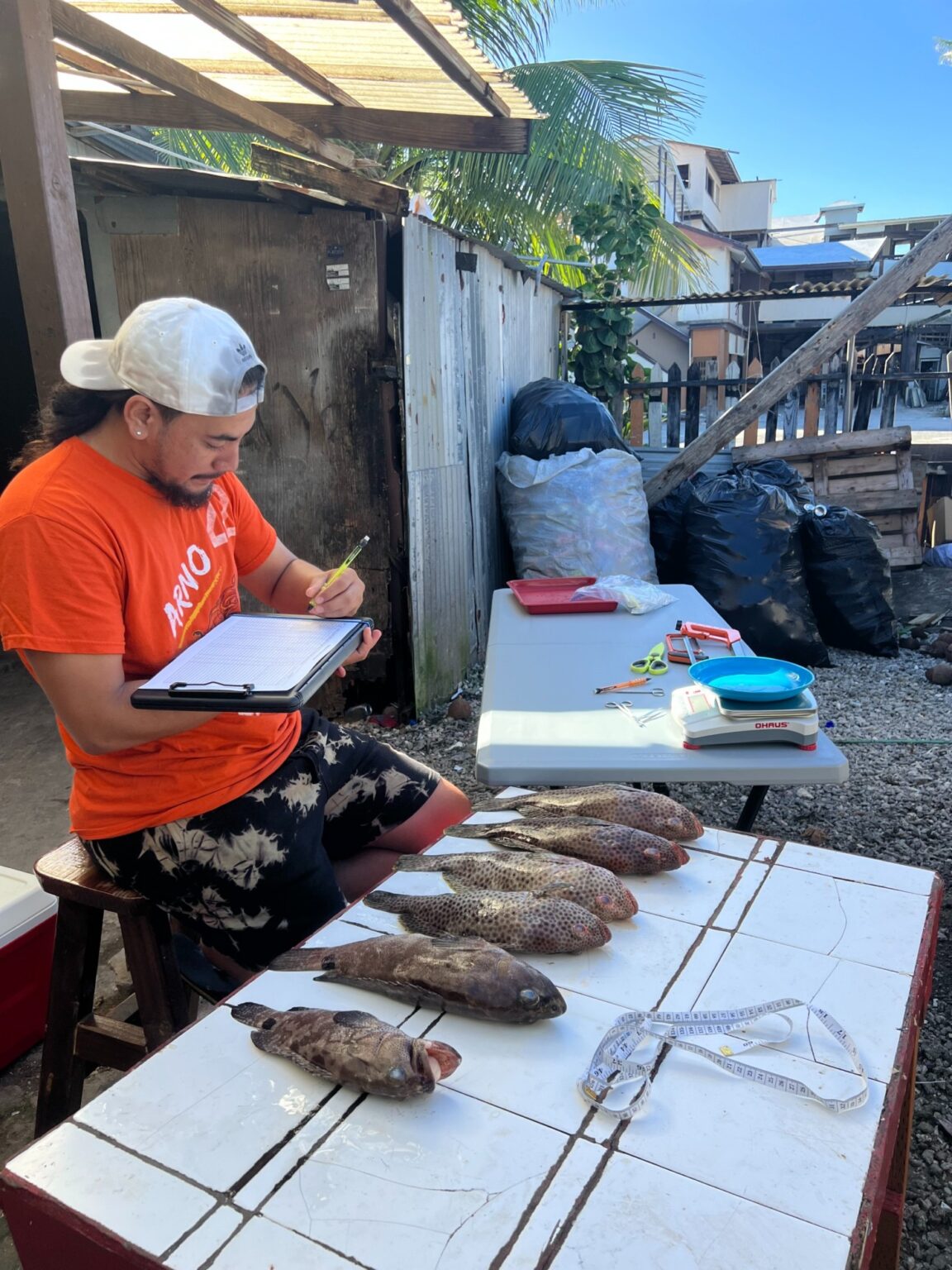 Micronesia advances reef fisheries research - Marianas Variety News & Views